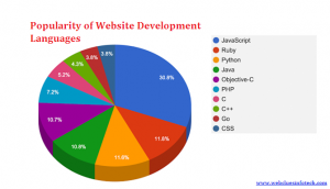 Which Language Is Best For Website Development? | WebClues Infotech