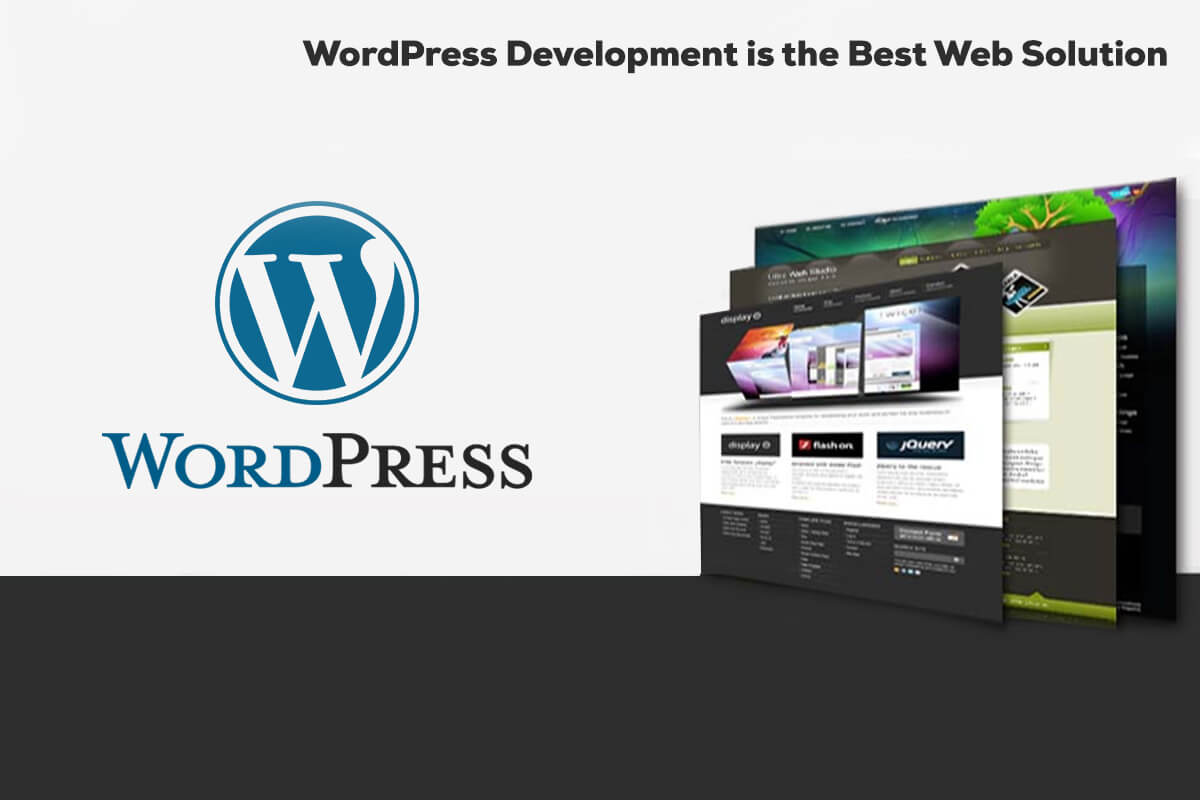 WordPress Website Development Creates Beautiful And Highly Functional ...
